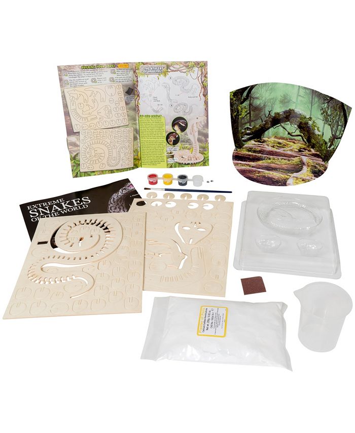 WILD! Science Wild Environmental Science - Extreme Snakes of the World ...