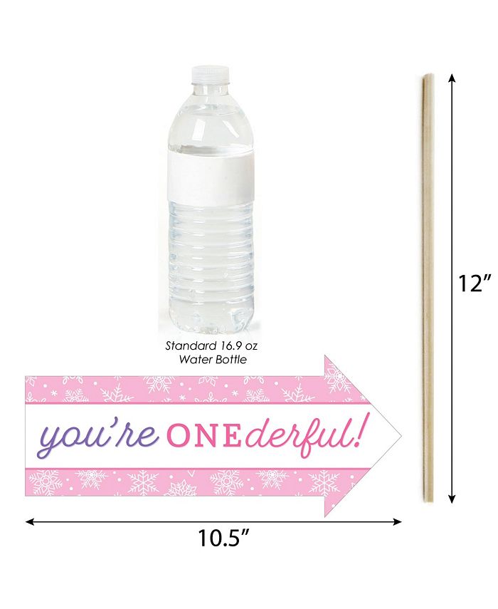 Big Dot of Happiness Funny Pink Snowflakes 1st Birthday - Photo Booth ...