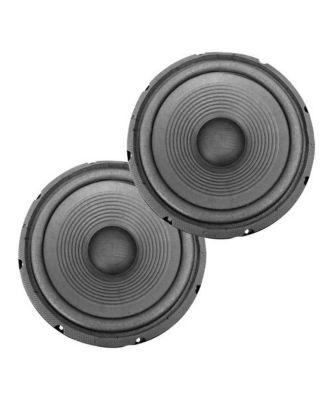 5 Core 12 Inch Woofer 120W RMS Subwoofer Speakers Massive 1200W PMPO ...