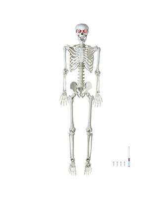 Yescom Life Size Skeleton Poseable with Glowing Eyes 5.4 Ft Halloween ...