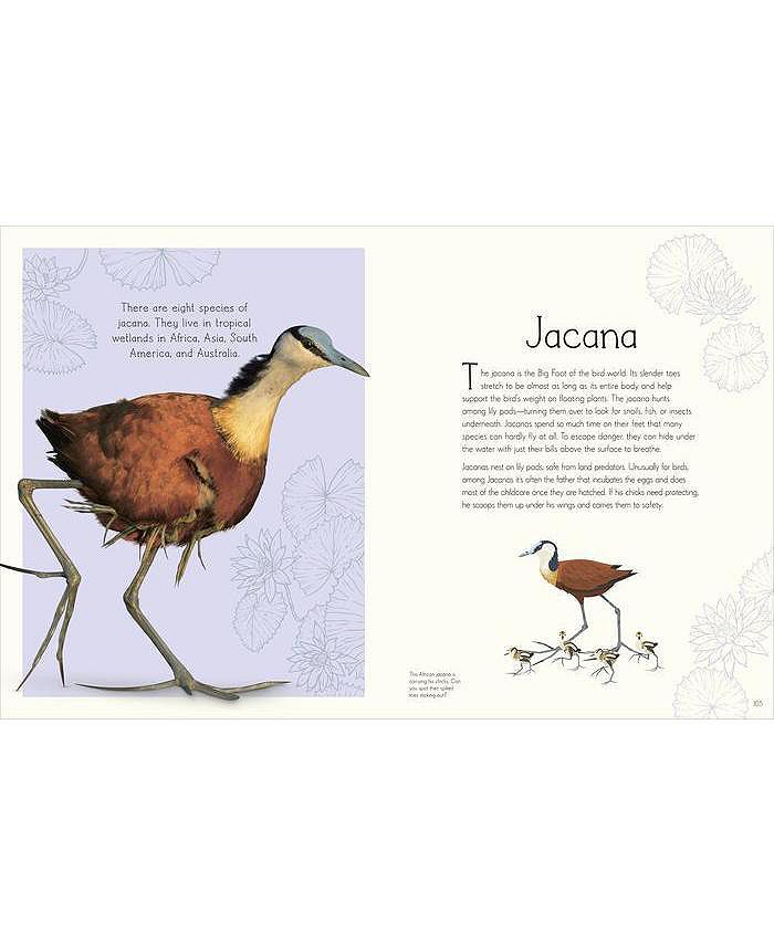 Barnes & Noble An Anthology of Aquatic Life by Sam Hume - Macy's