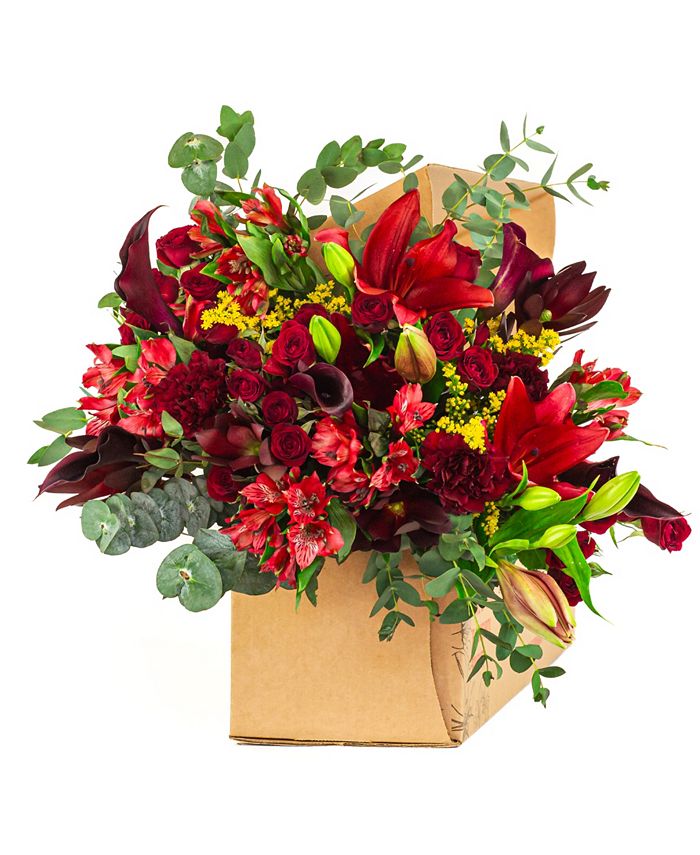 BloomsyBox Red Velvetier Fresh Flower Bouquet - Macy's