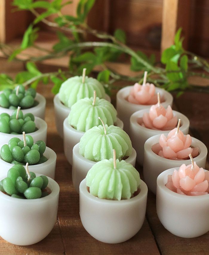 Vance Kitira Succulent Candle, Set of 3 - Macy's