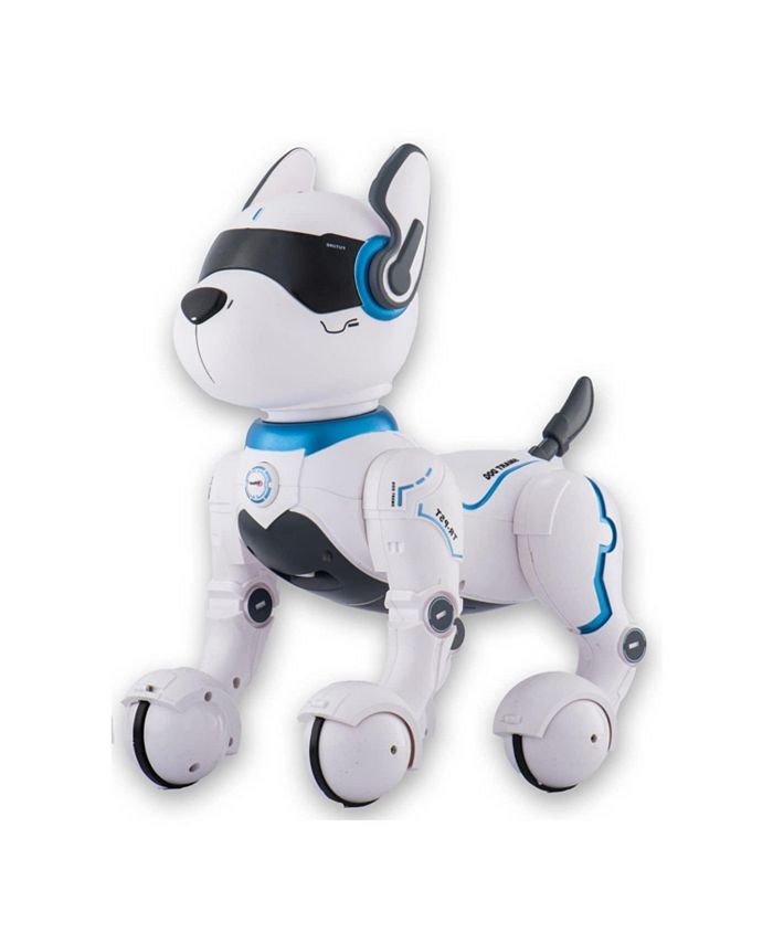 Top Race Remote Control Robot Dog Toy with Touch Function and Voice ...