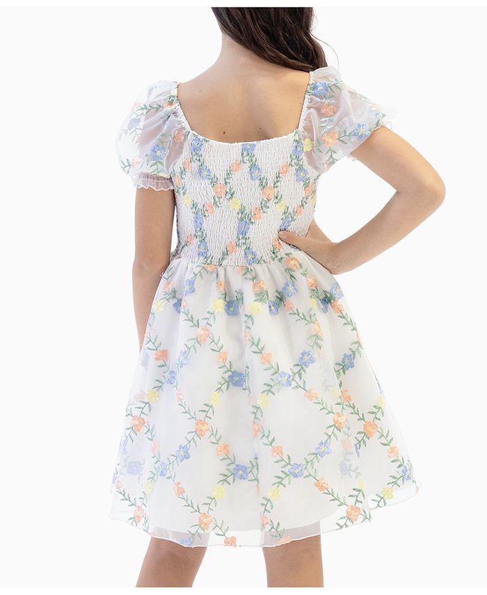 Rare Editions Big Girls Embroidered Organza Social Dress - Macy's