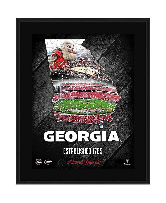 Fanatics Authentic Georgia Bulldogs 10.5" x 13" 2018 Sublimated State ...