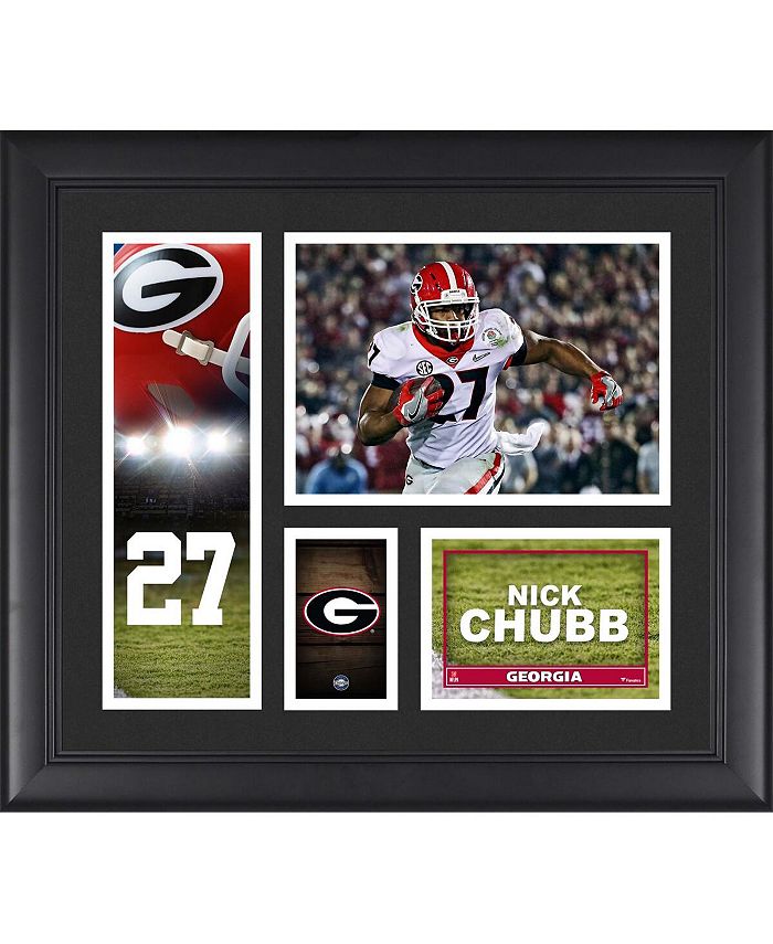 Fanatics Authentic Nick Chubb Georgia Bulldogs Framed 15" x 17" Player ...