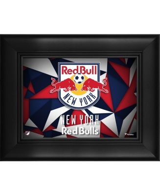 Fanatics Authentic New York Red Bulls Framed 5" x 7" Team Logo Collage ...