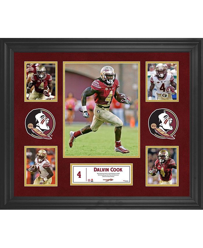 Fanatics Authentic Dalvin Cook Florida State Seminoles Framed 23" x 27 ...