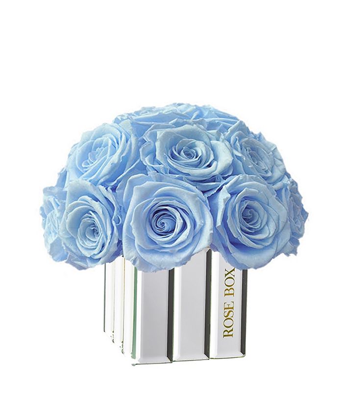 Rose Box NYC Half Ball of Light Blue Long Lasting Preserved Real Roses ...