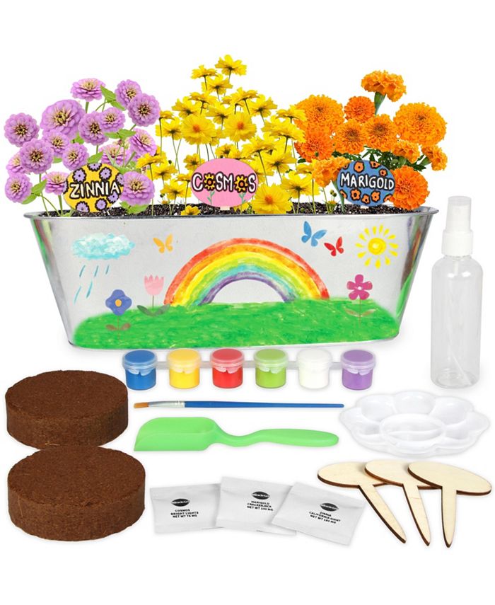 Creative Kids MIRACLE GRO FLOWER GROWING KIT - Macy's