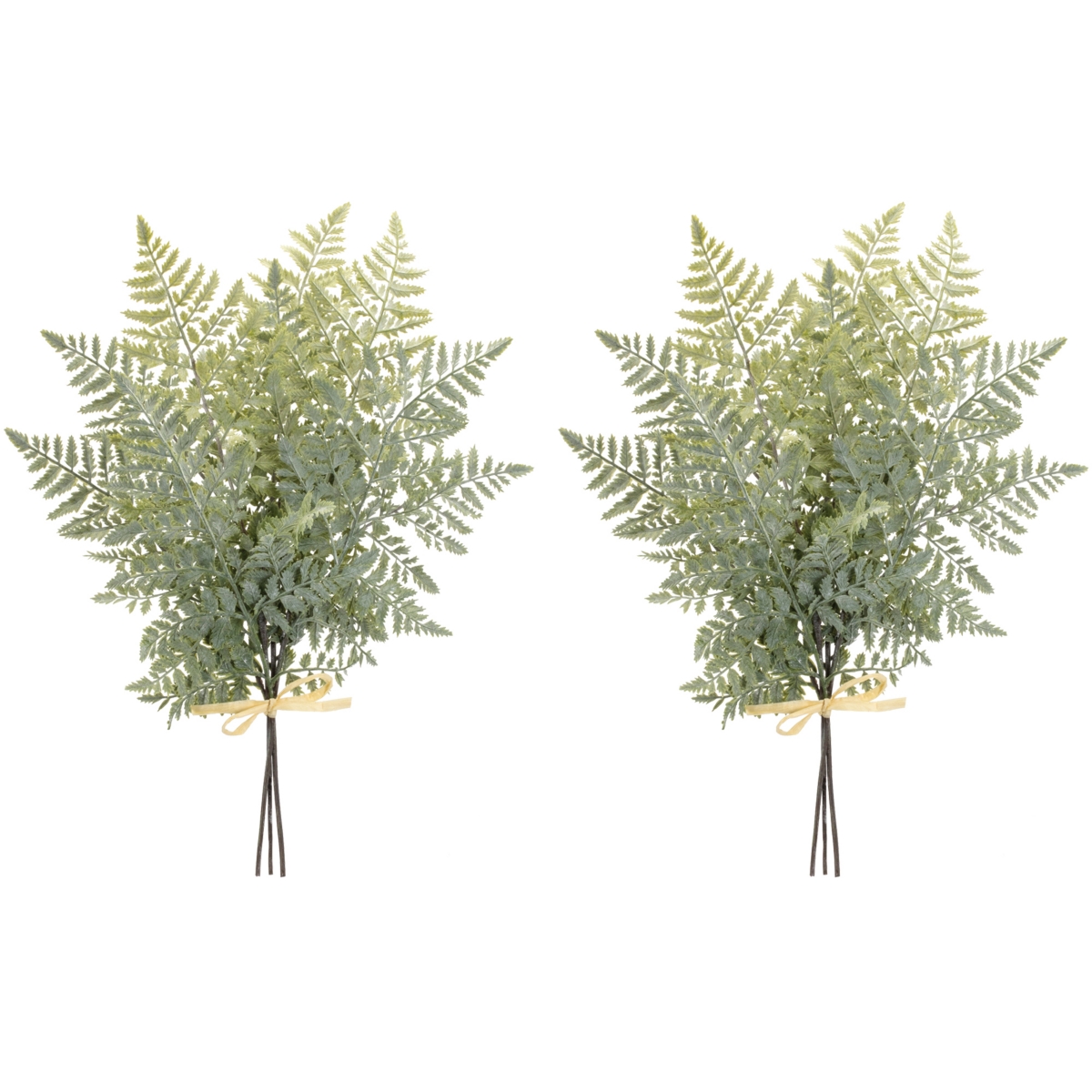Click here for Fern Bundle for Natural and Elegant Holiday and Ho... prices