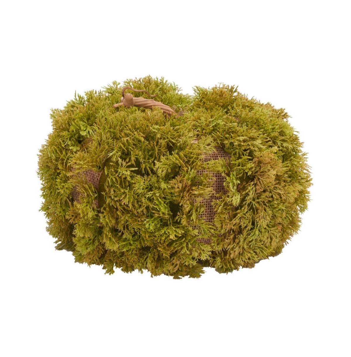 Click here for Safavieh Faux 10 Inch Moss Pumpkin - Green prices