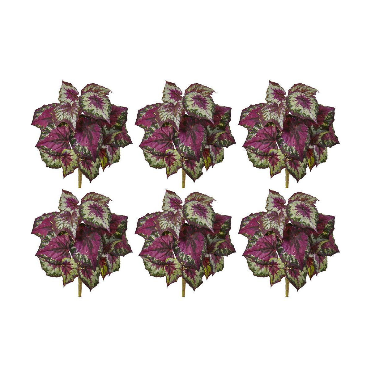 Click here for Slickblue Wax Begonia Bush for Bright and Lush Ind... prices