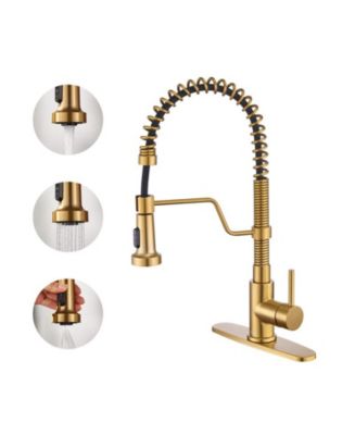 CASAINC 1.8 GPM Spring Neck Pull Down Kitchen Faucet with Deck Plate ...