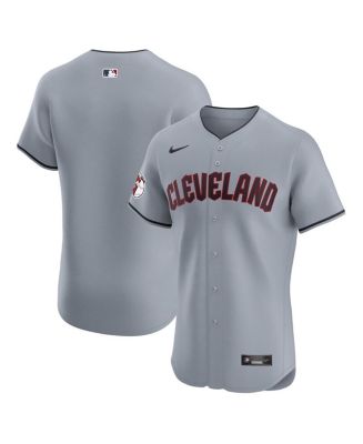 Nike Men's Gray Cleveland Guardians Alternate Vapor Premier Elite Patch ...