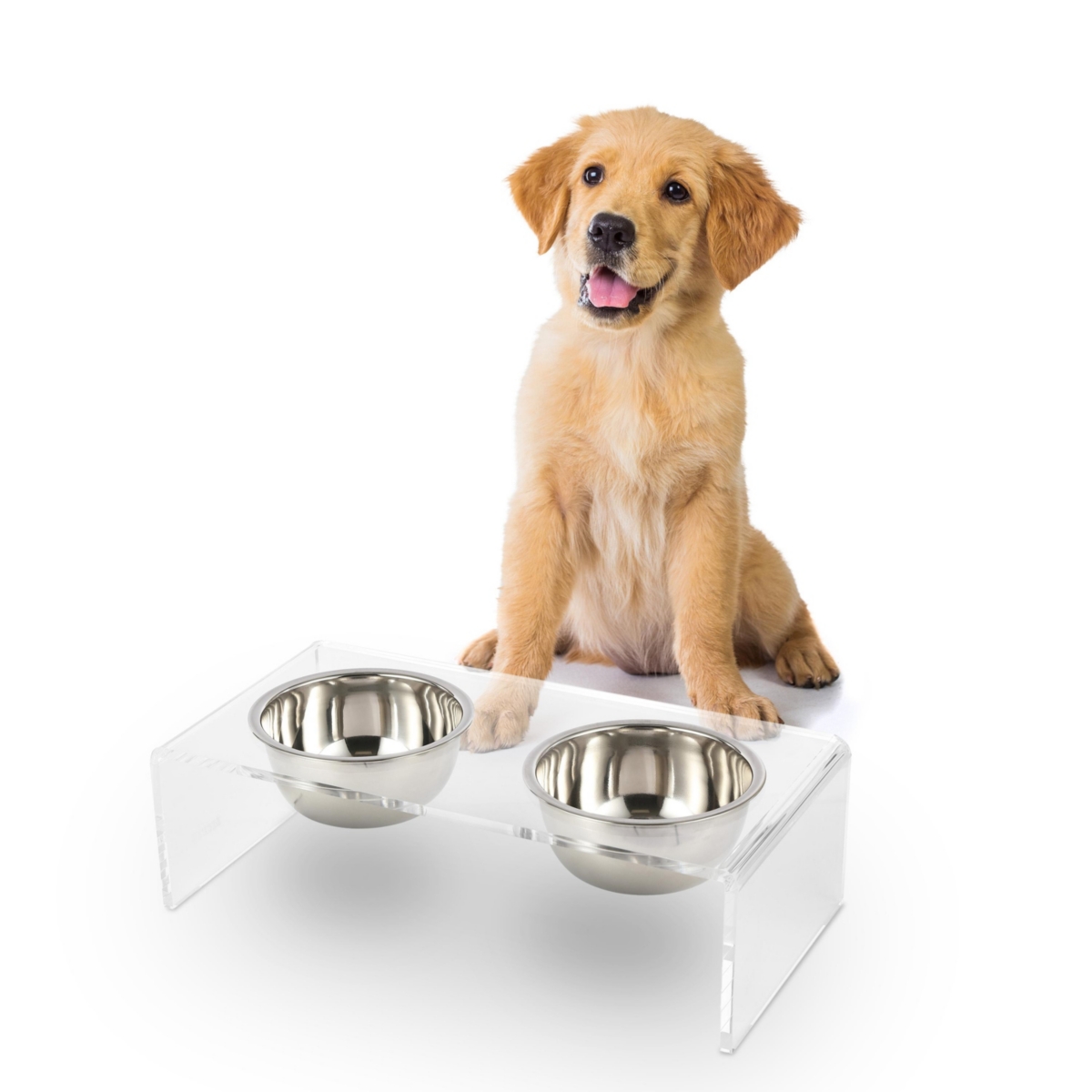 Click here for Keaton Modern Acrylic Rectangular Elevated Pet Fee... prices