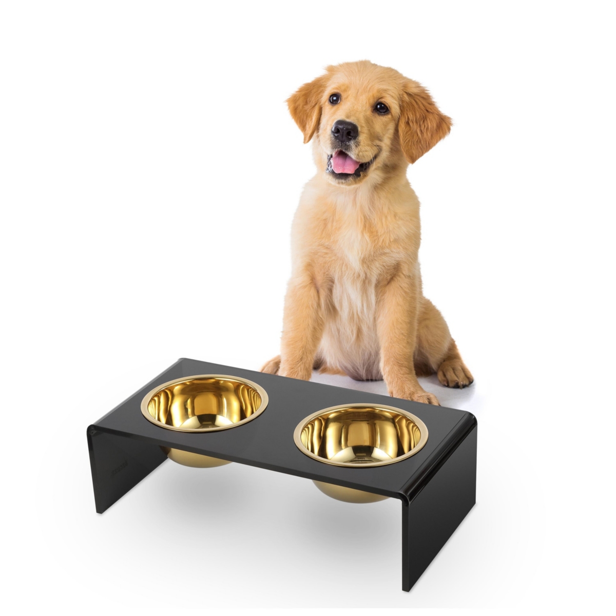 Click here for Keaton Modern Acrylic Rectangular Elevated Pet Fee... prices