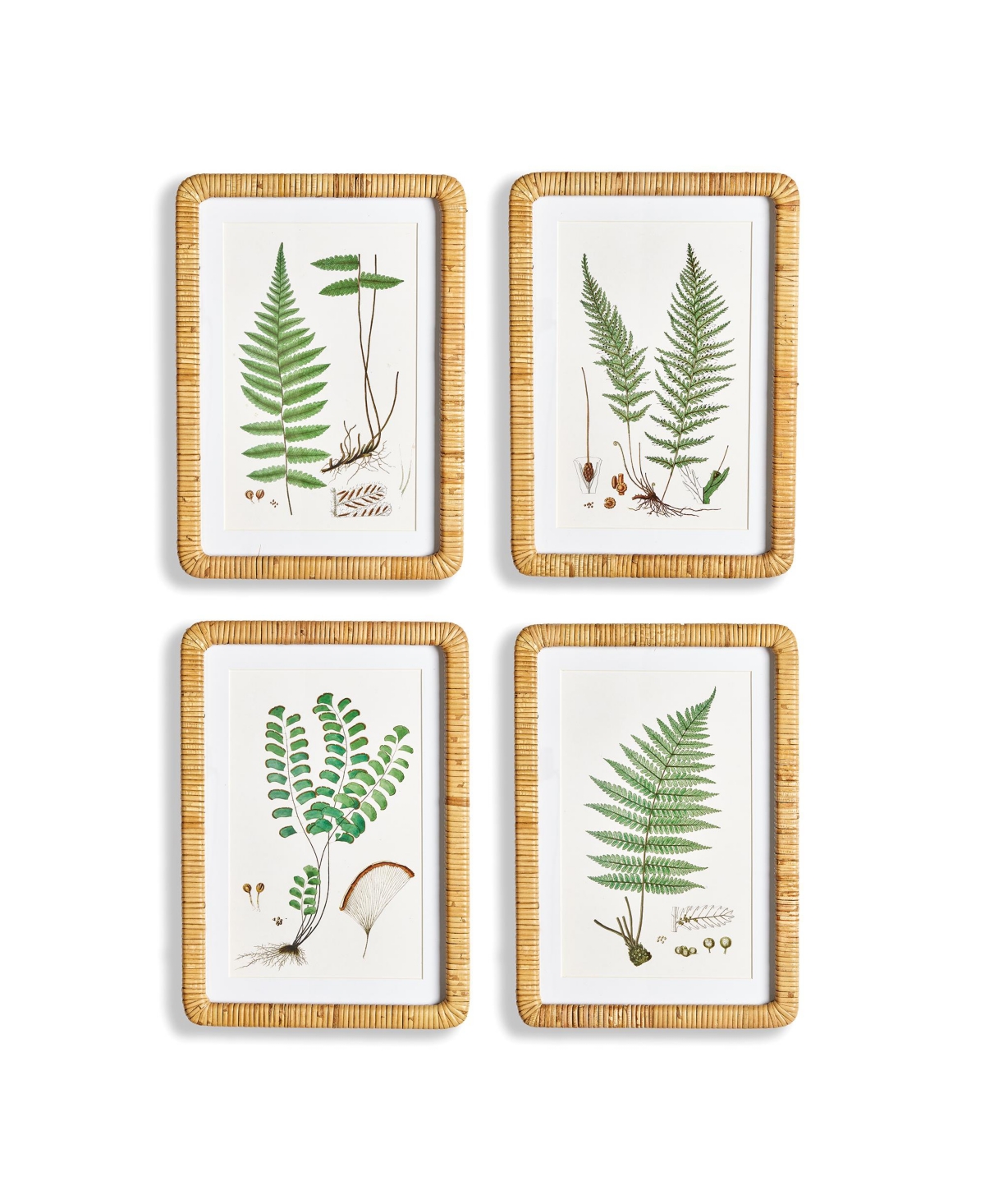 Click here for Forest Fern Prints Set of 4 - Green prices