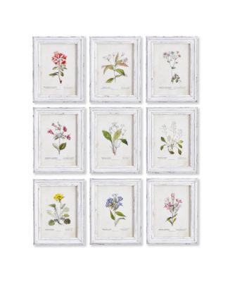Garden Meadow Study Set of 9 - Macy's