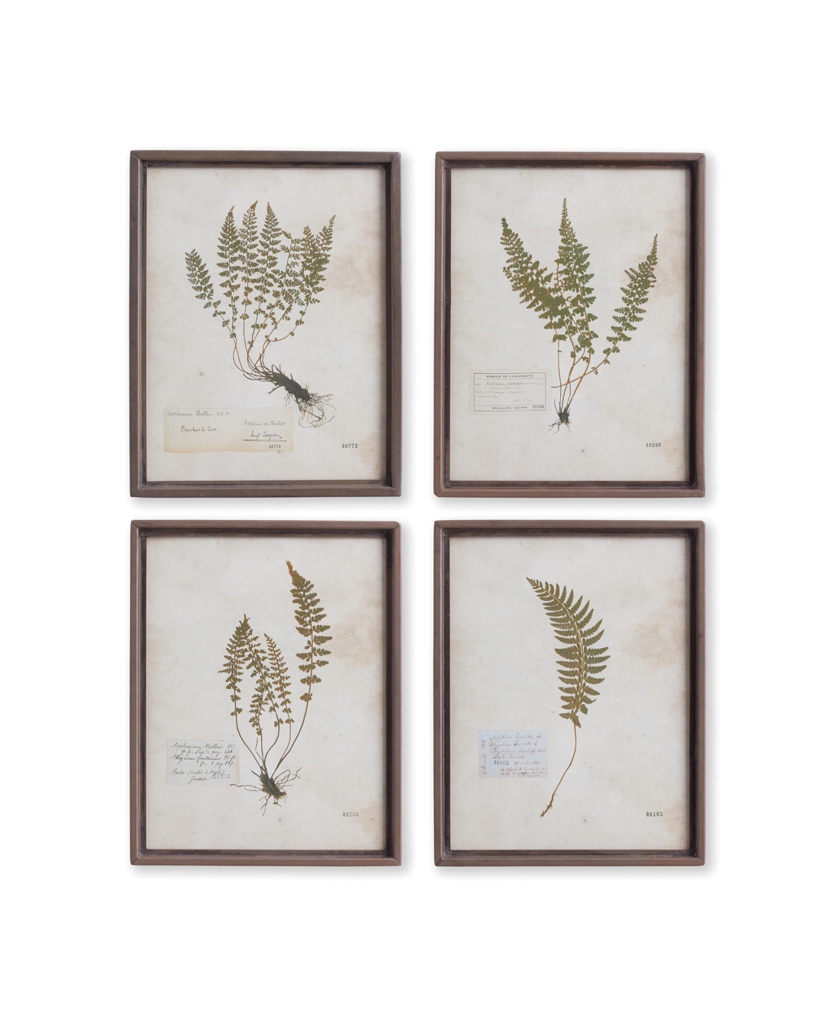 Click here for Petite Frond Prints Set of 4 - Beige/khaki prices