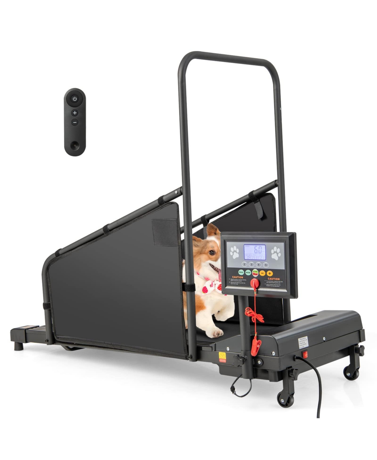 Click here for Indoor Pet Exercise Equipment with Remote Control... prices