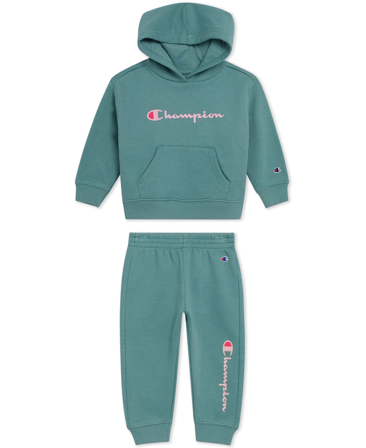 Click here for Champion Baby Girls 2-Piece Long Sleeve Hoodie and... prices