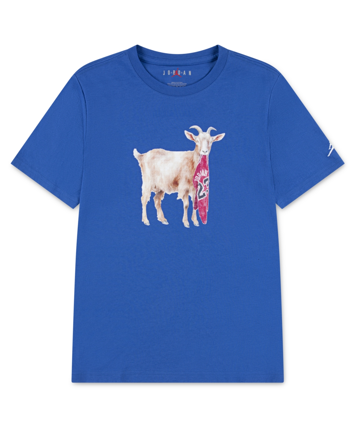 Click here for Jordan Boys 8-20 Flight Goat T-Shirt - Sport Blue prices