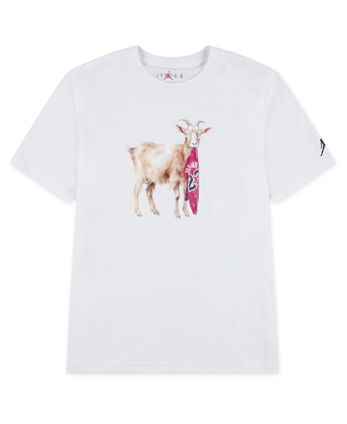 Click here for Jordan Boys 8-20 Flight Goat T-Shirt - White prices