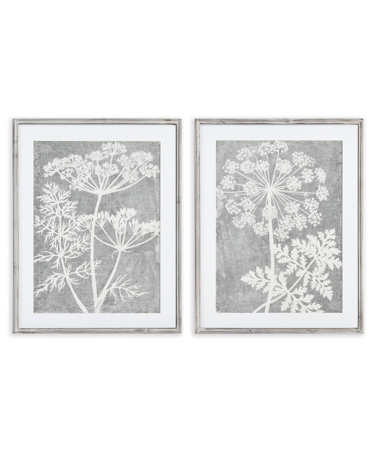 Click here for Blooming Queen Annes Lace Prints  Set Of 2 - Grey prices