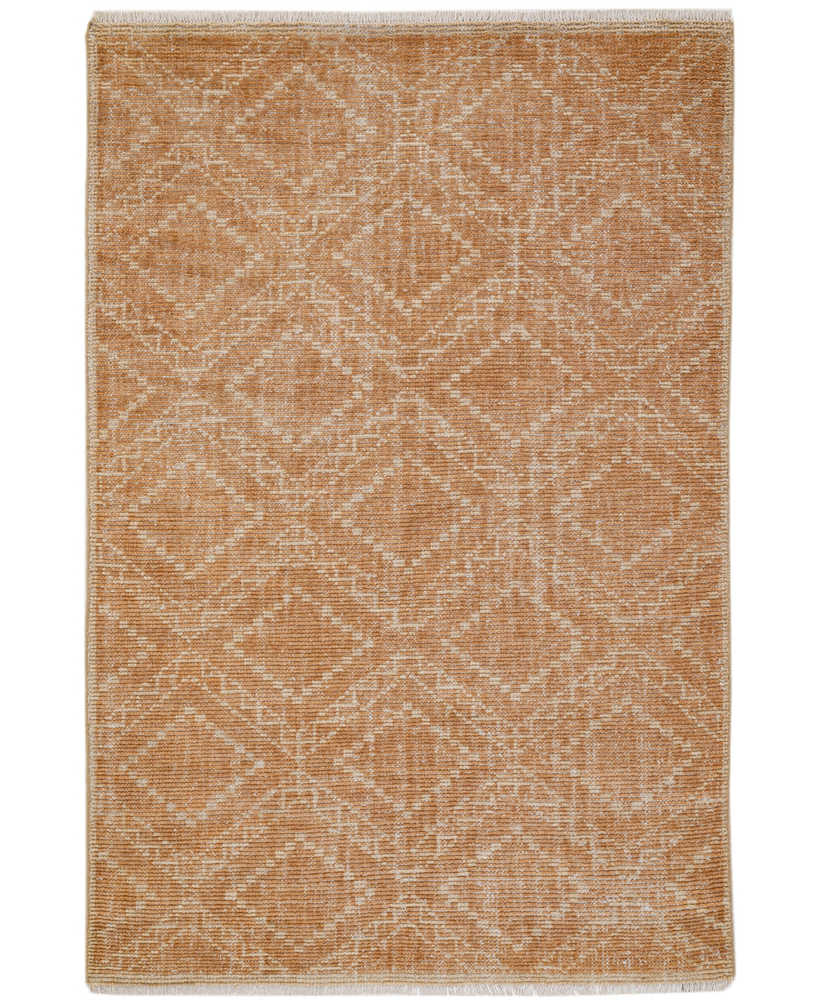 Click here for Obeetee Sienna Marie 3x5 Area Rug - Terracotta prices
