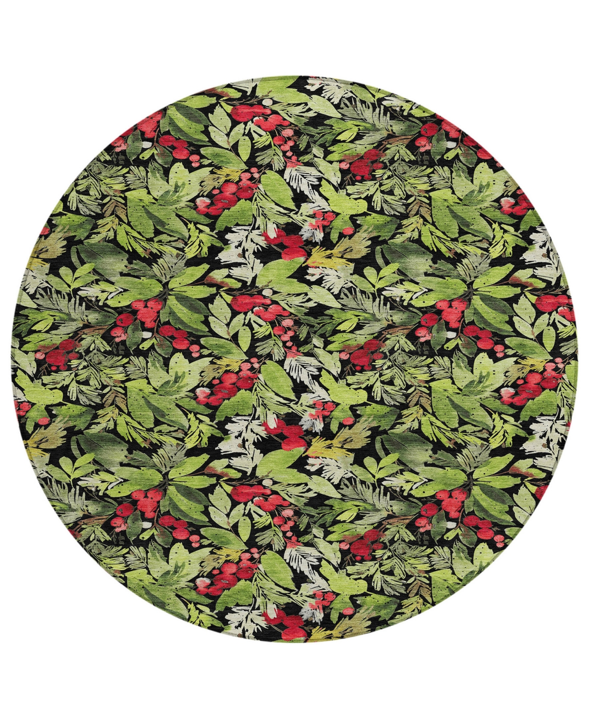 Click here for Addison Holiday Washable Indoor/Outdoor ACN1816 8x... prices