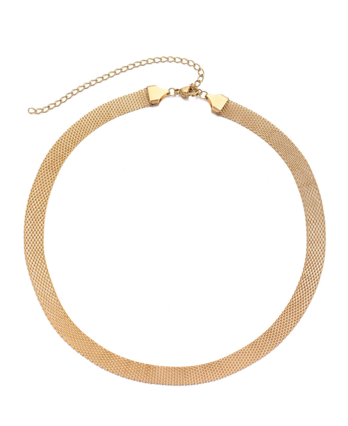 Click here for Adornia Tarnish Resistant Gold Mesh Chain Necklace... prices