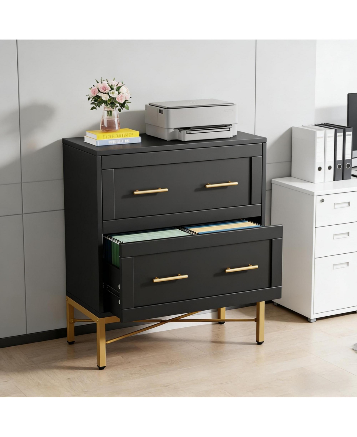 Click here for Rainsken 2-Drawer File Cabinet with Adjustable Rai... prices