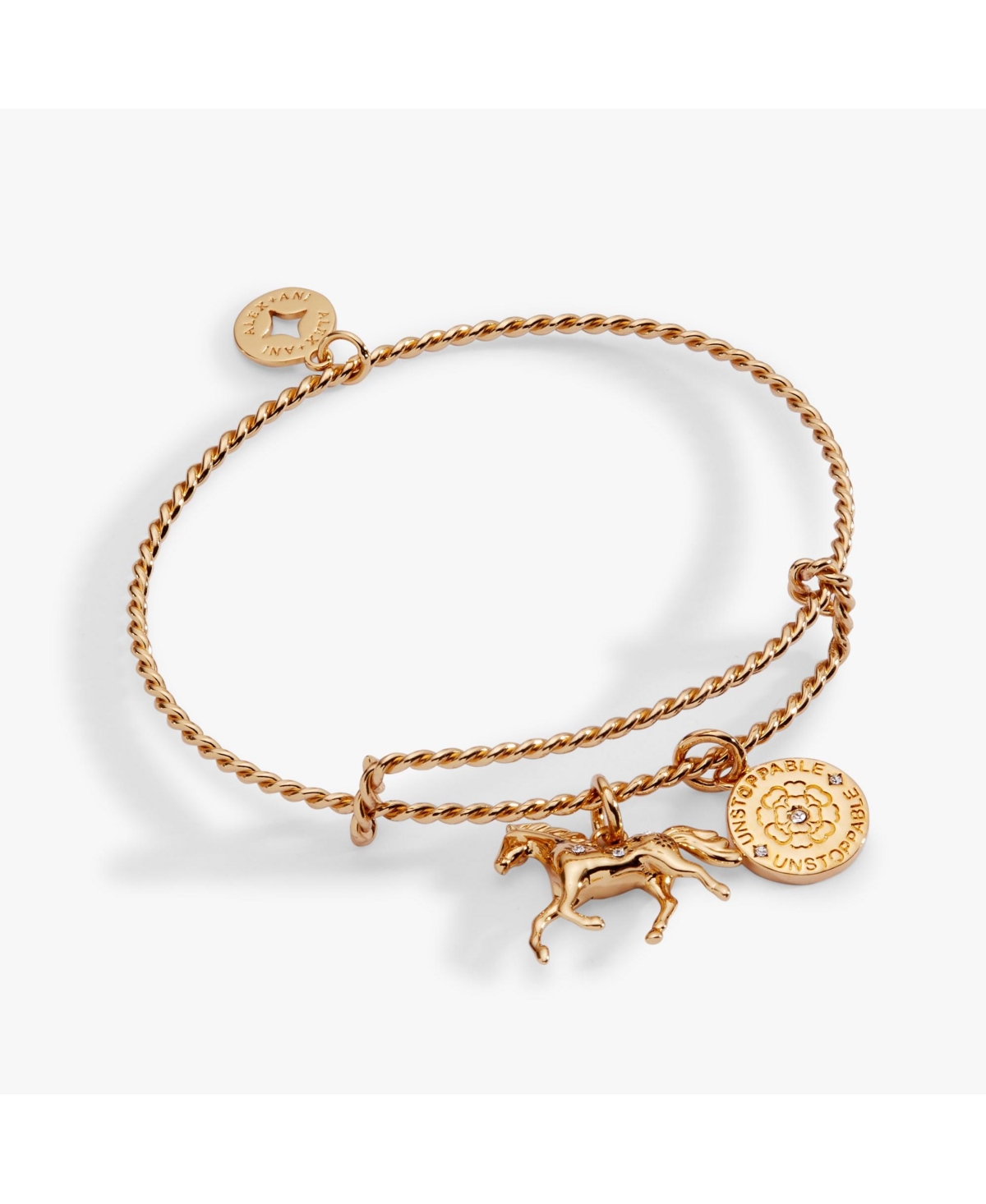 Click here for Alex and Ani Horse Rope Textured Charm Bangle Brac... prices