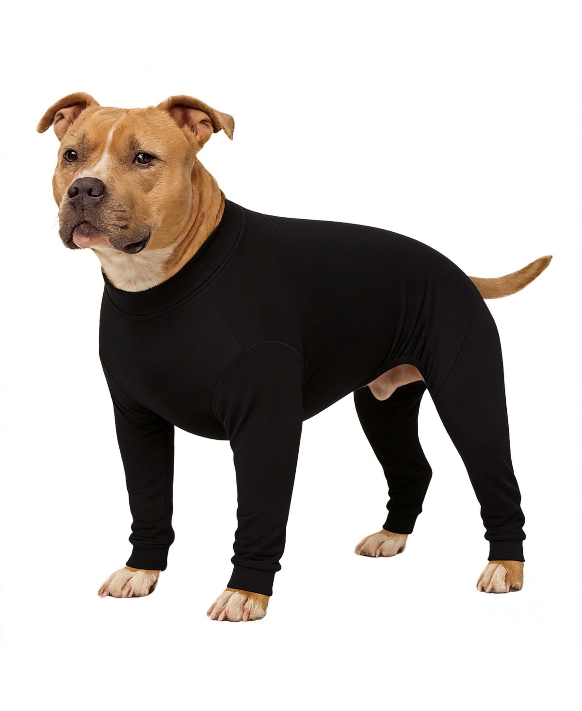 Click here for Aronkl Cotton Polyester Calming Dog Onesie for All... prices