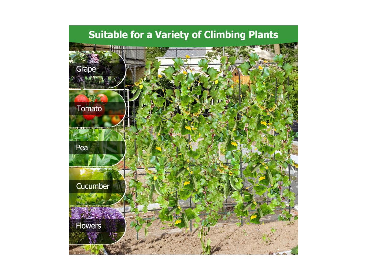 Click here for Lucky One 71 x 71 Inch U-Shaped Garden Trellis for... prices
