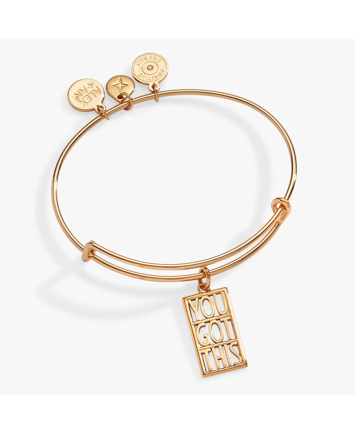 Click here for Alex and Ani You Got This Charm Bangle prices