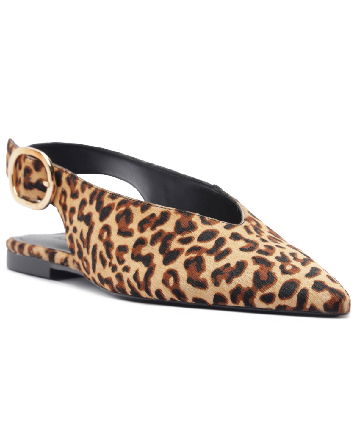 Click here for Arezzo Womens Atlas Pointed Toe Ballet Flats - Leo... prices