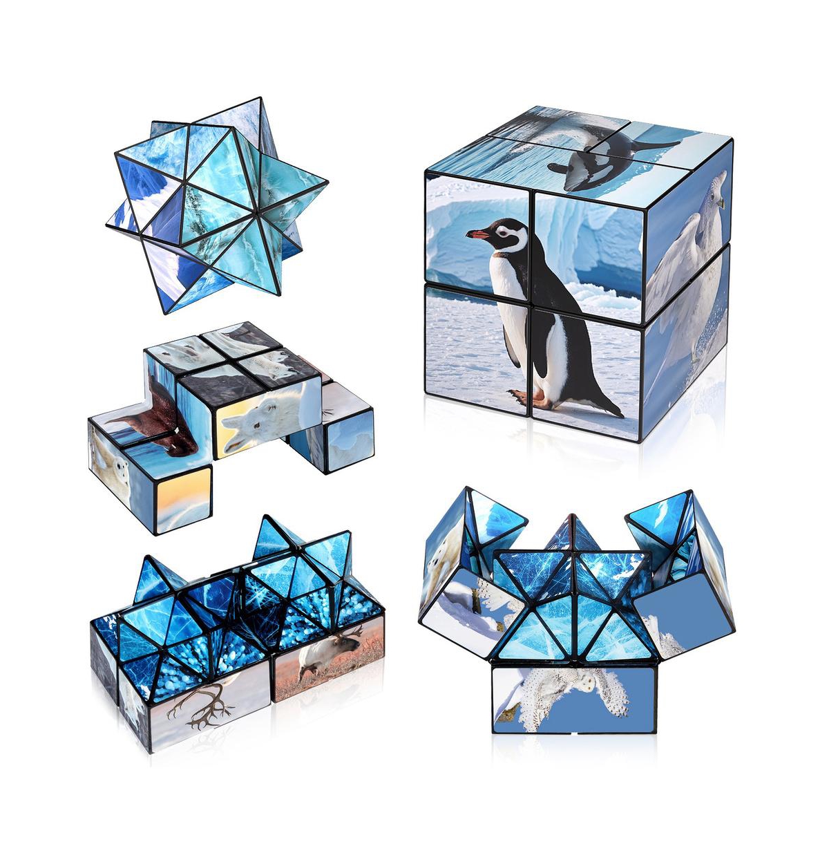 Click here for Bruce & Shark 2-in-1 North and South Poles Fidget... prices
