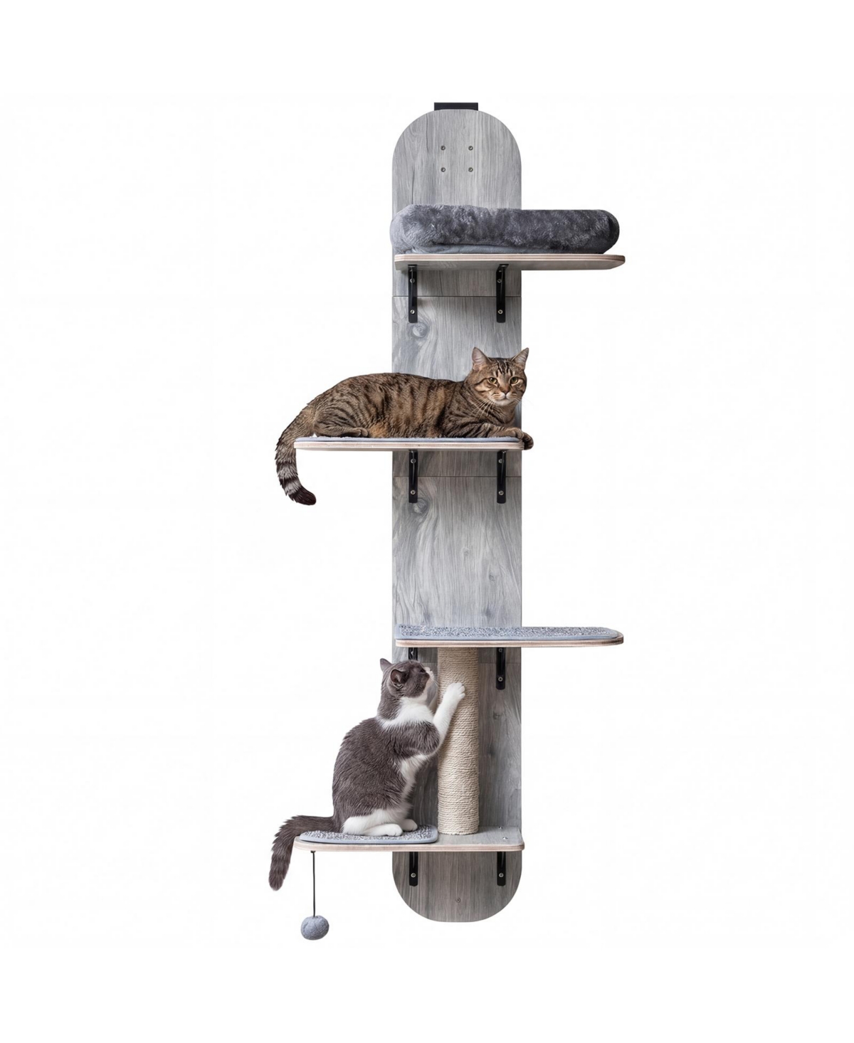 Click here for Cozito Door Hanging Cat Climber 4-Level Height Adj... prices