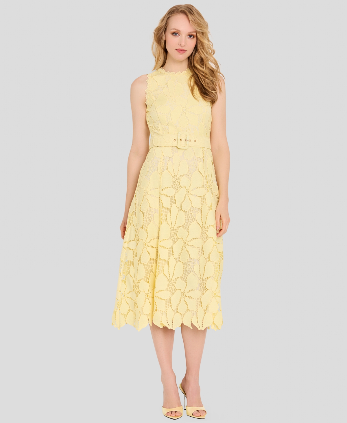 Click here for Tahari Asl Womens Belted Lace Midi Dress - Butterc... prices