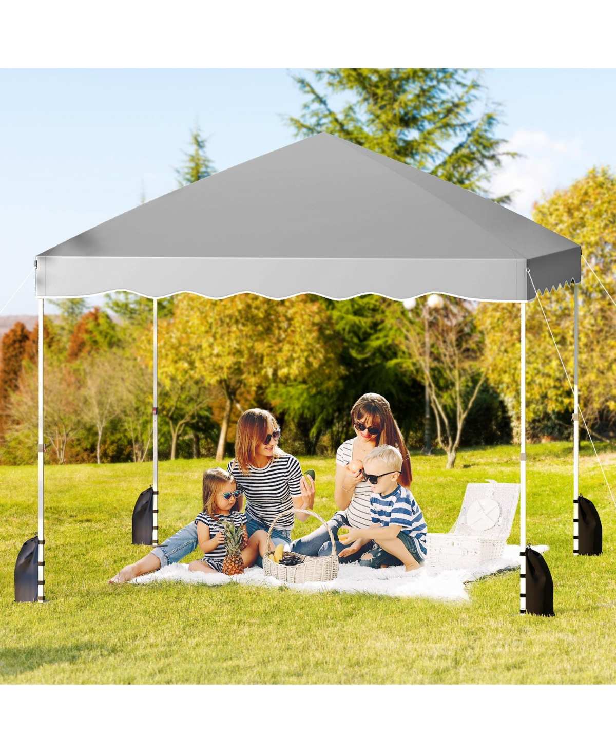 Click here for Foldable Pop-up Canopy Tent with Wheeled Carry Bag... prices