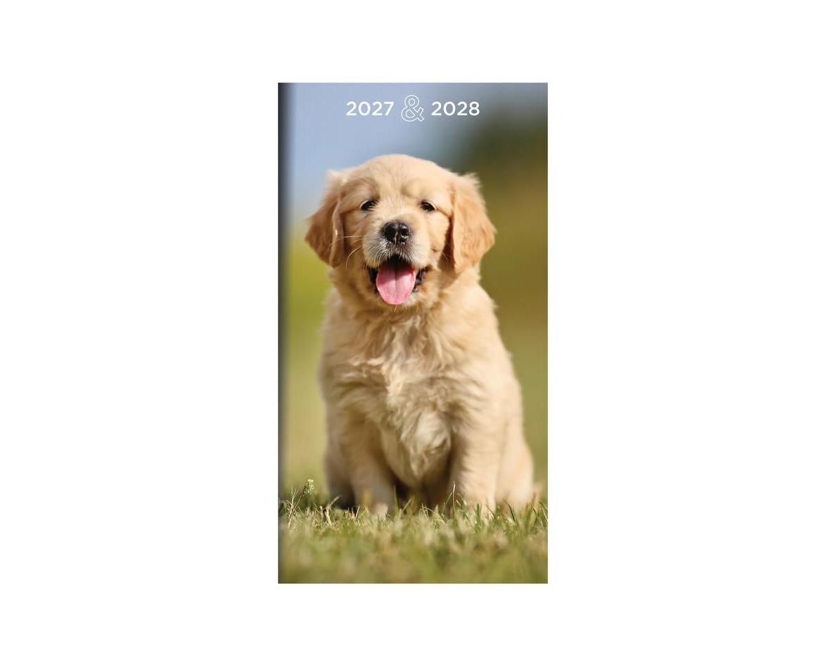 Click here for Tf Publishing Paper Goods 2027-2028 Dog Small Mont... prices