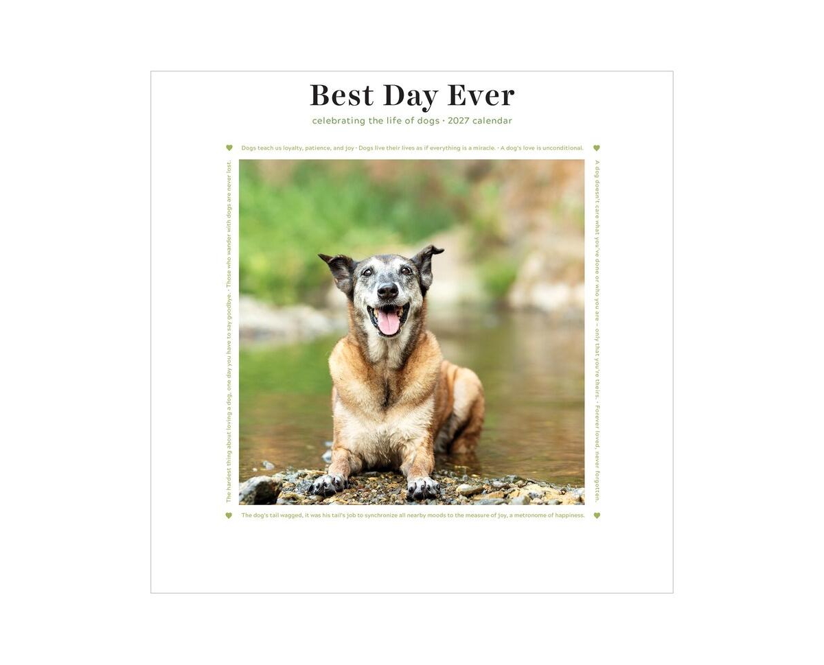 Click here for Tf Publishing Paper Goods 2027 Best Day Ever Dogs... prices