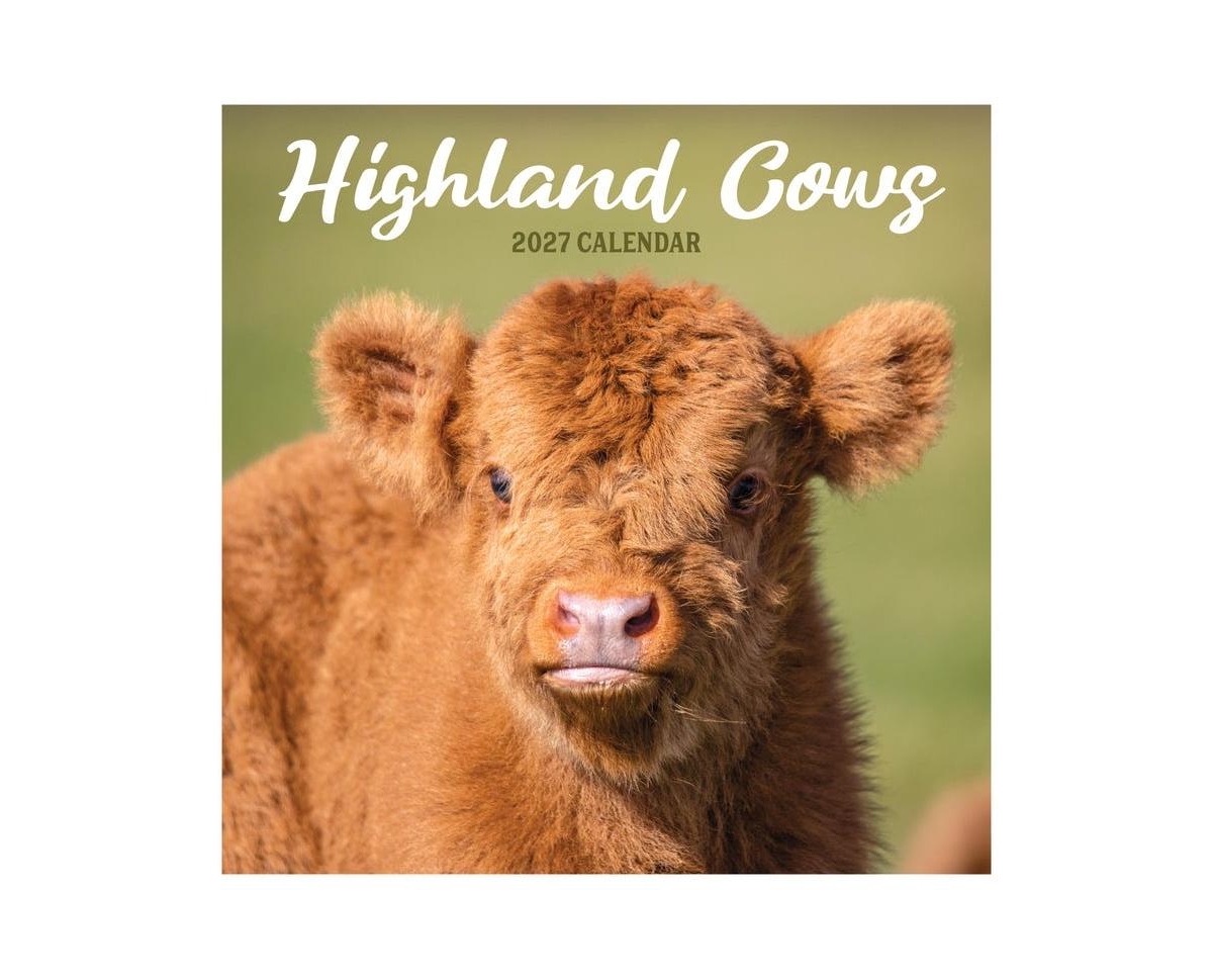 Click here for Tf Publishing Paper Goods 2027 Highland Cows Wall... prices