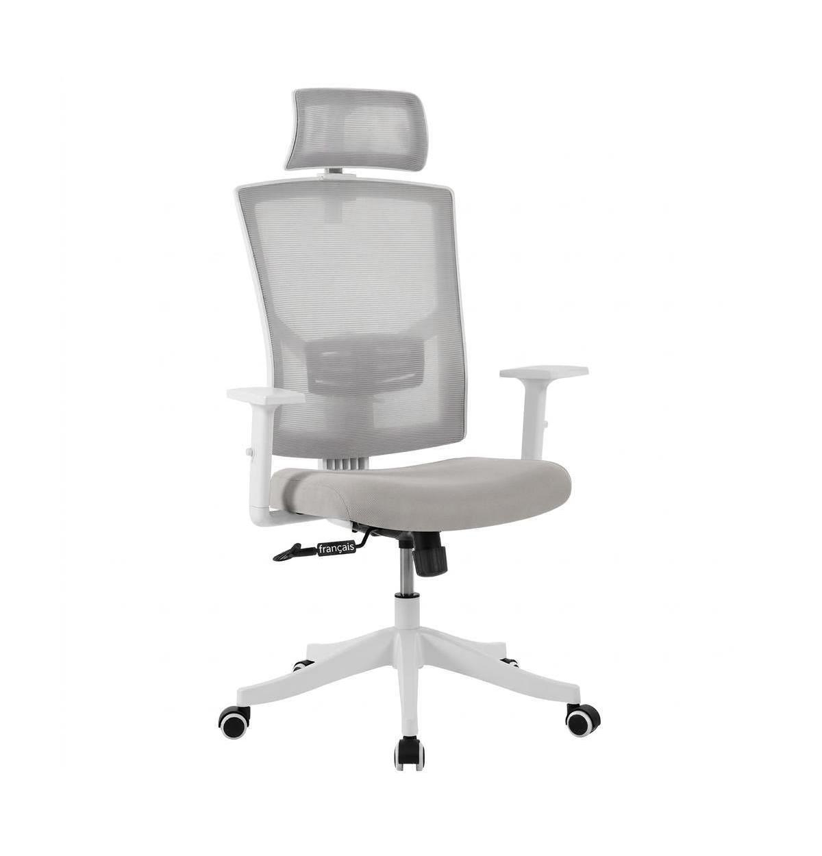Click here for homfan Ergonomic Mesh Office Chair with Lumbar Sup... prices