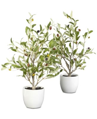 Nearly Natural 2-Pc. 18" Olive Tree Set with Vases - Macy's