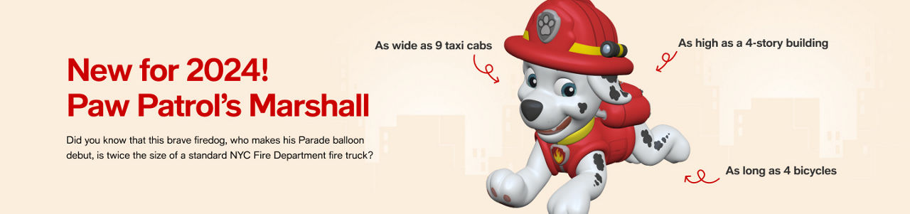 Outfits Paw Patrol - Macy's